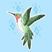 Hummingbird Die-cut Sticker Bird Sticker Hummingbird Die-cut Stricker ...
