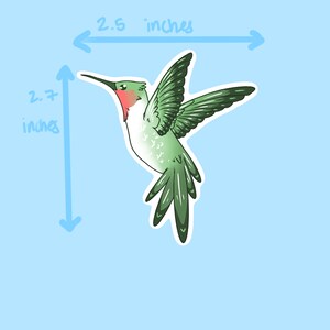 Hummingbird Die-cut Sticker Bird Sticker Hummingbird Die-cut Stricker ...