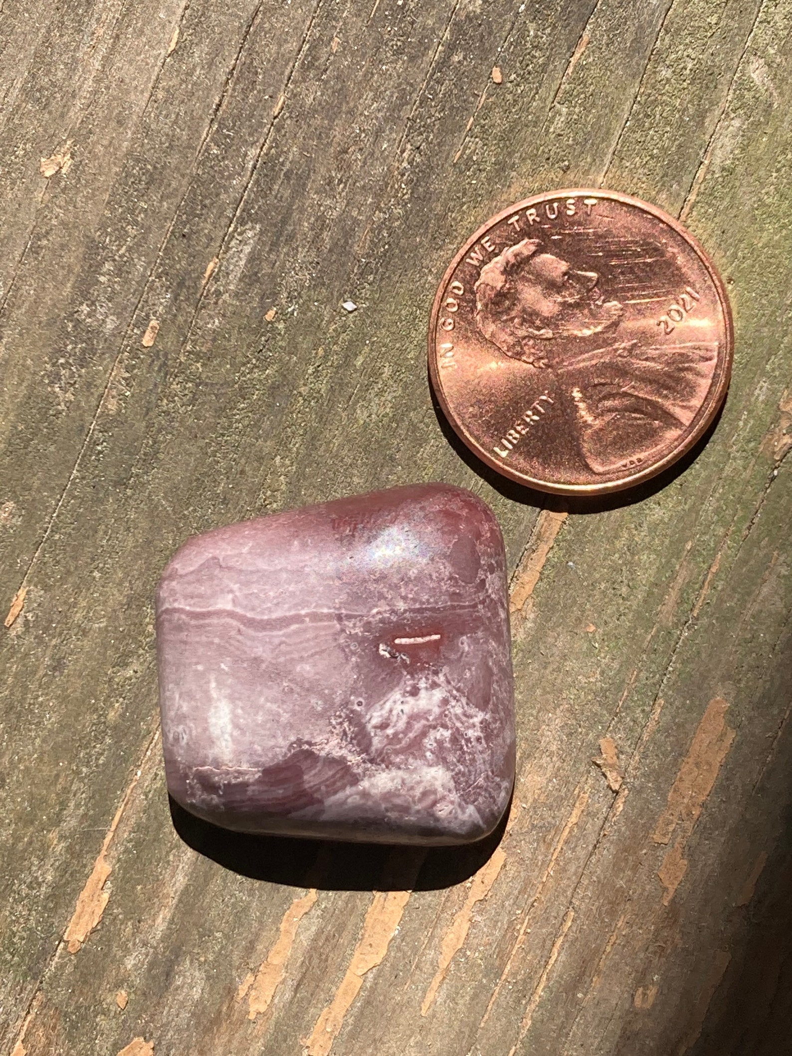 Apache Sage Mimbres Dendritic Rhyolite Cabochon - Etsy