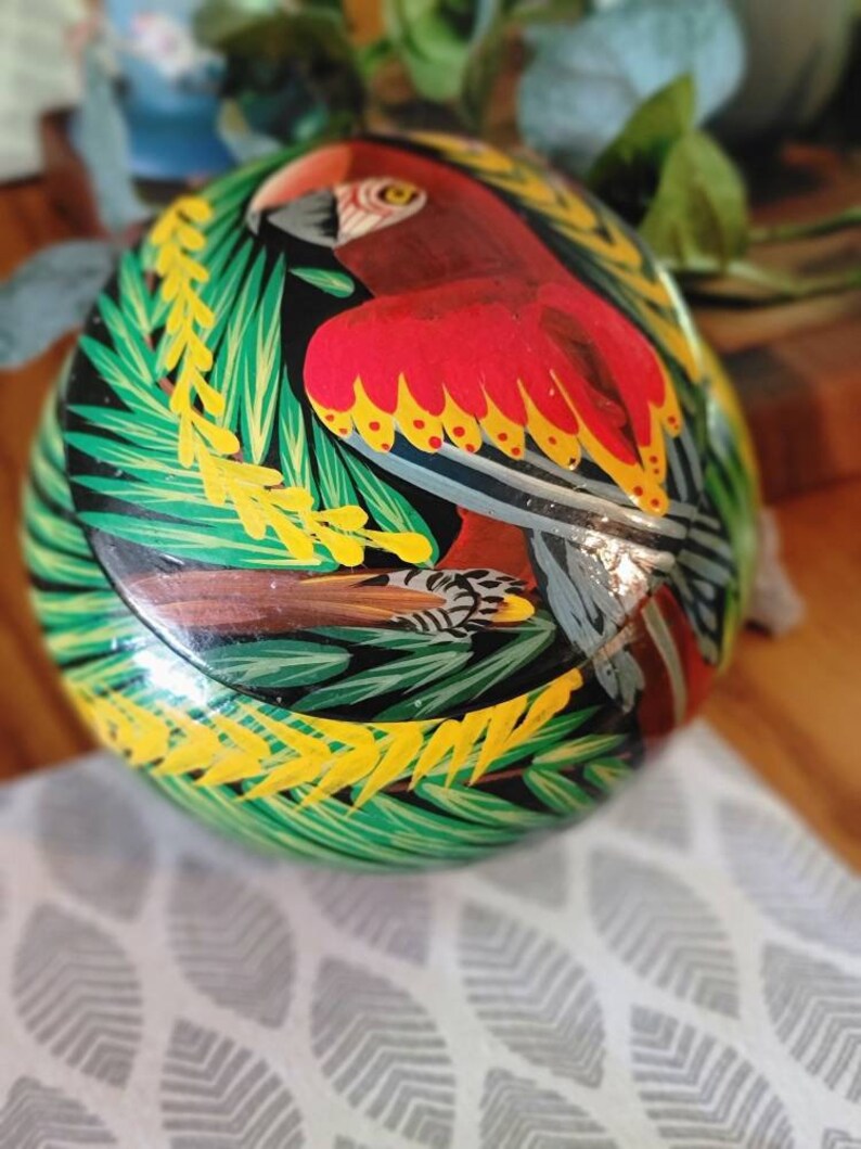Handpainted Parrot Trinket Box - Etsy