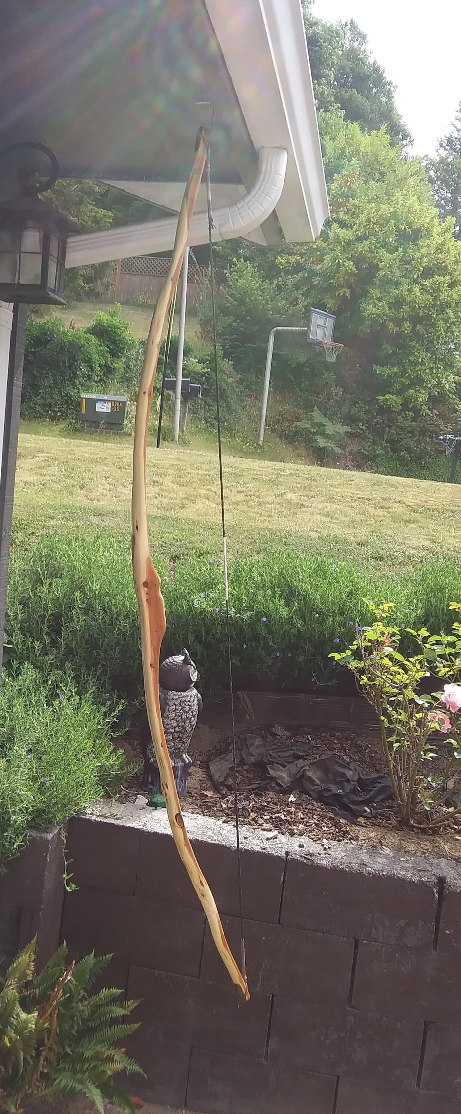 Yew Wood Bow 71 50 28 Draw | Etsy