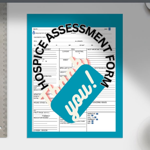 Hospice Nurse Assessment Sheet - Etsy