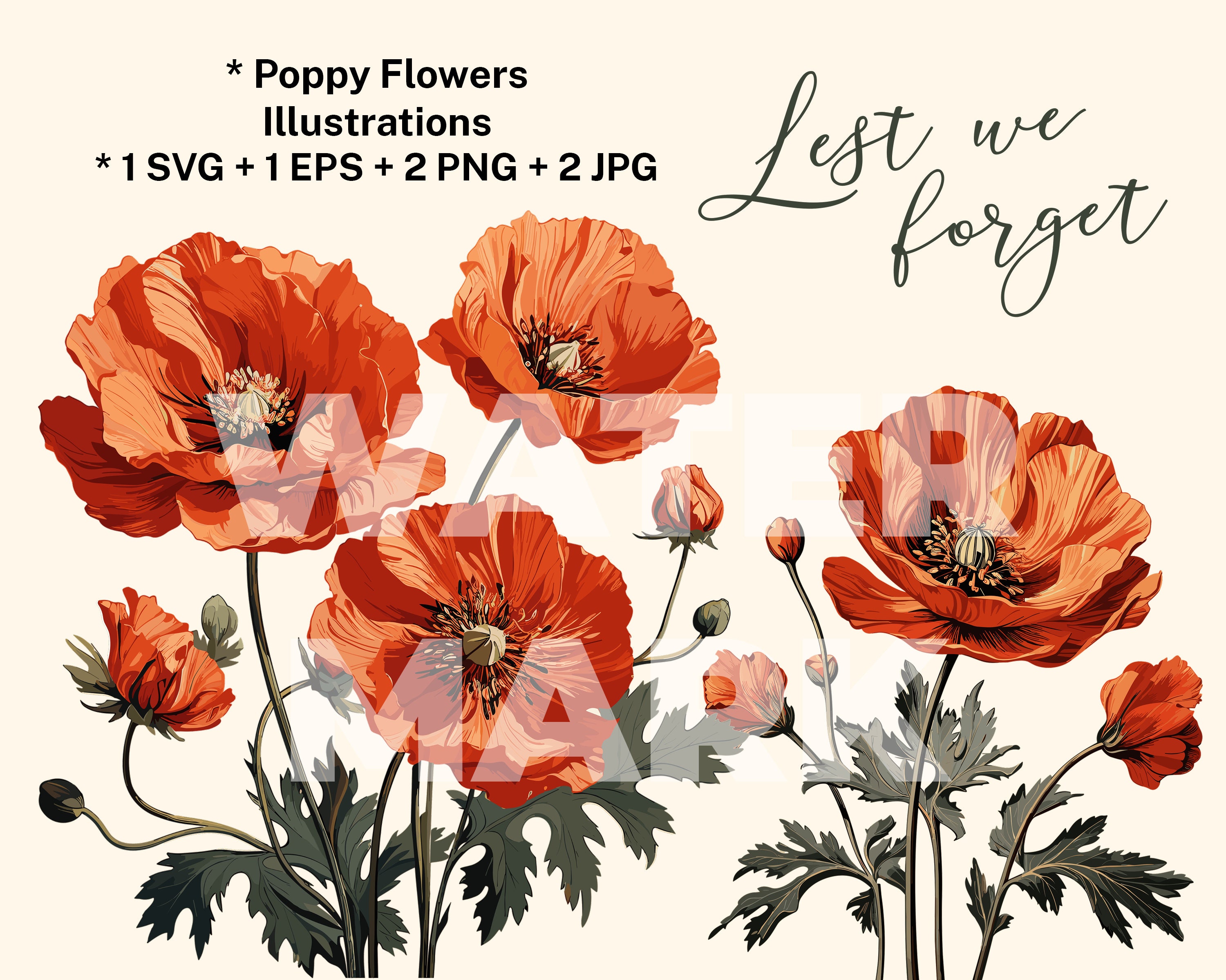 Poppy Flower SVG Poppy Illustrated Poppies Clipart Poppy Set Floral ...