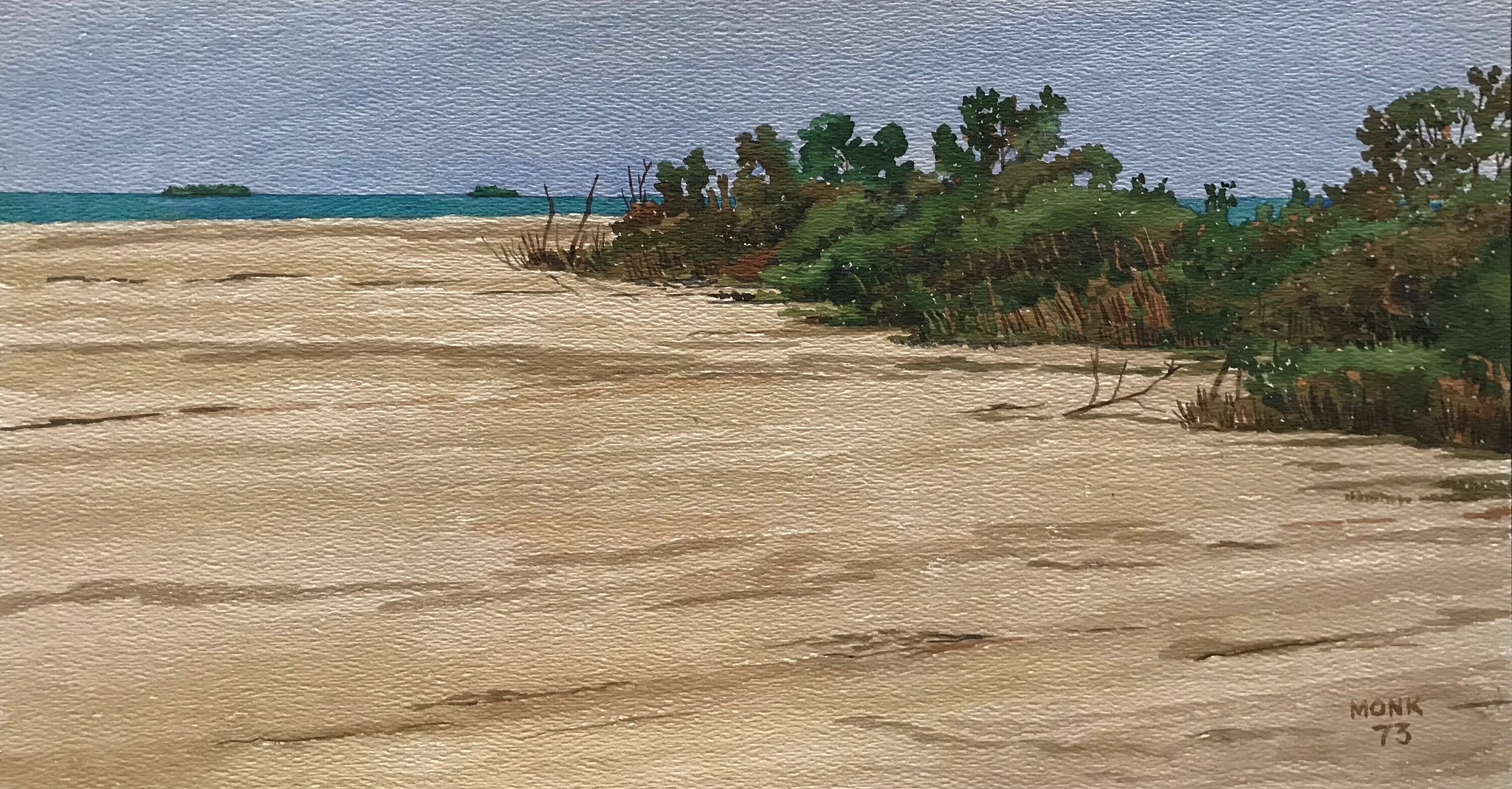 Everglades Mudflat 4 - Watercolor - Etsy UK