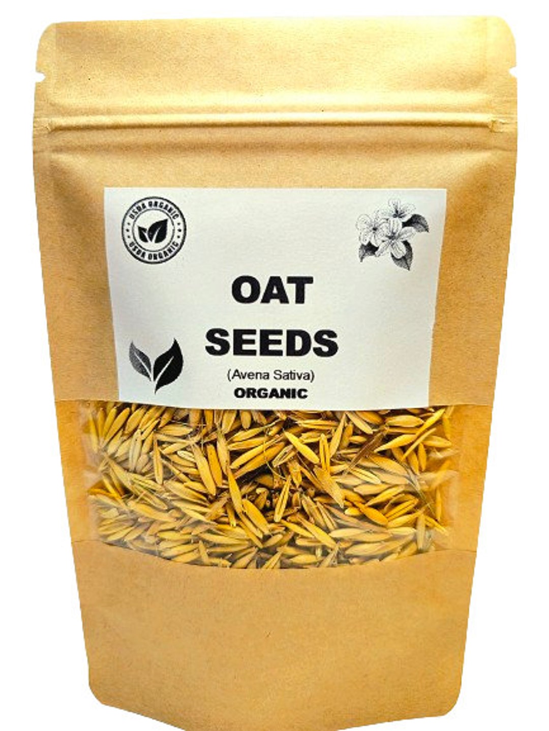 Organic OAT SEEDS | Avena Sativa | Oat Seeds Tea | Herbal Tea ...