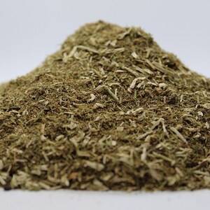 Organic JERUSALEM OAK GOOSEFOOT | Chenopodium Botrys | Dysphania Botrys ...