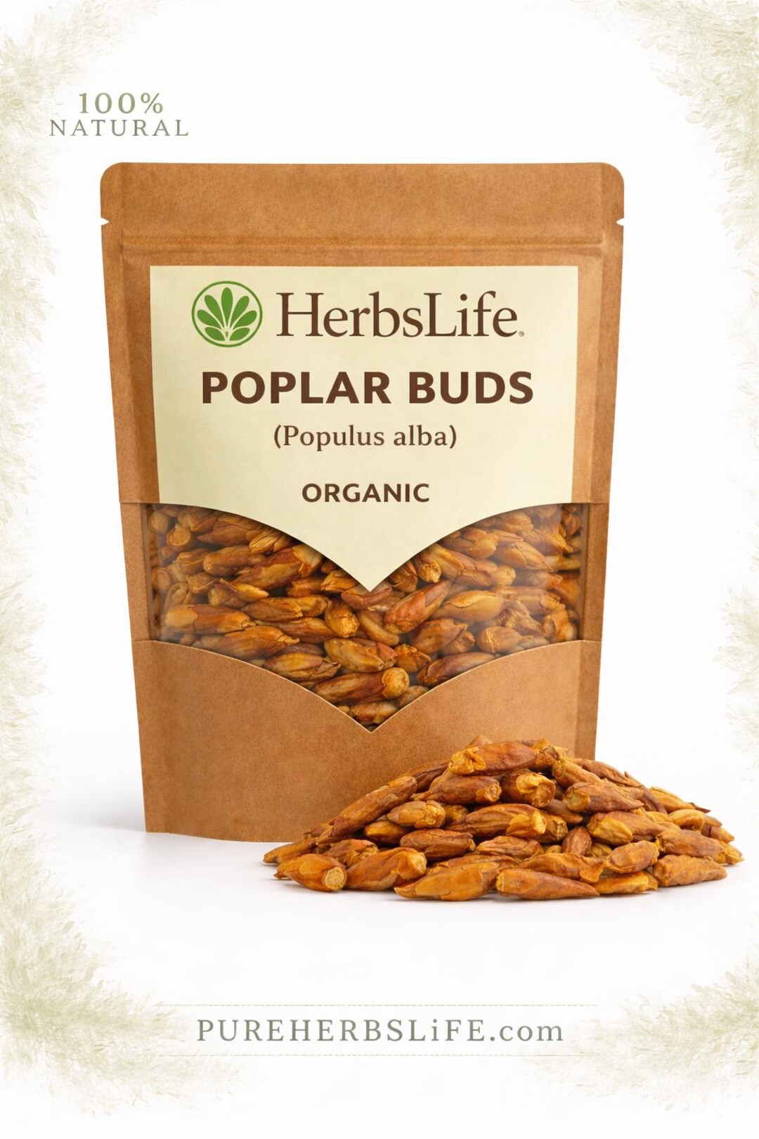 Organic WHITE POPLAR BUDS | Populus Alba | Dried Botanical, Craft ...