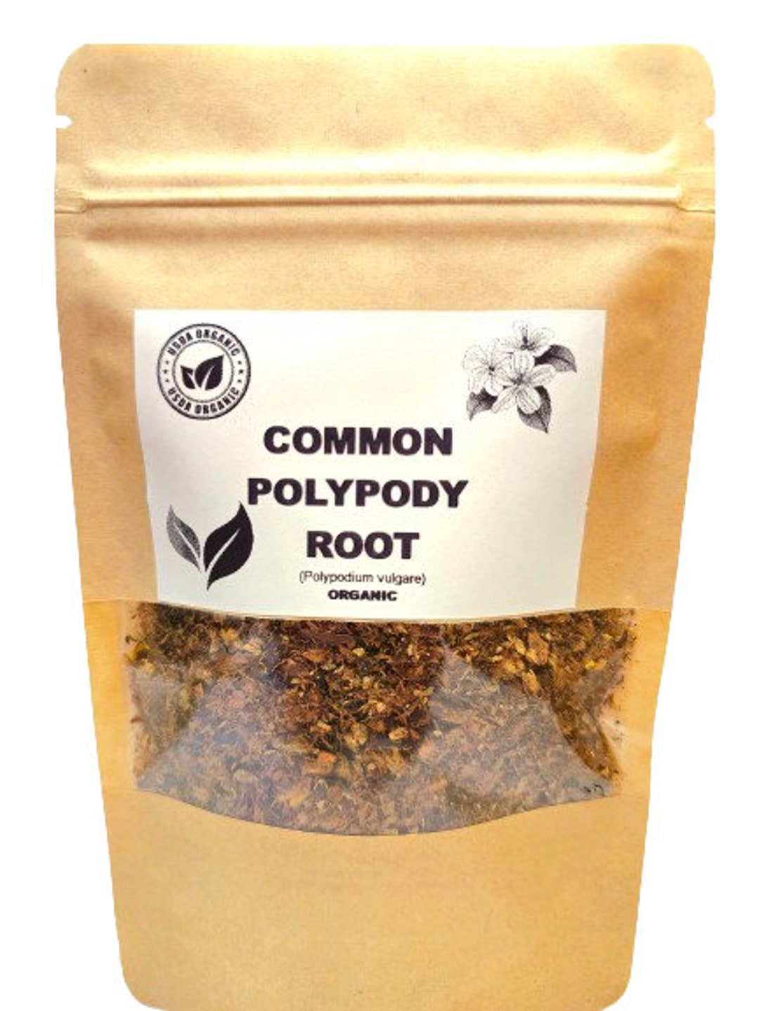 Organic COMMON POLYPODY ROOT | Polypodium Vulgare | Polypody Tea ...