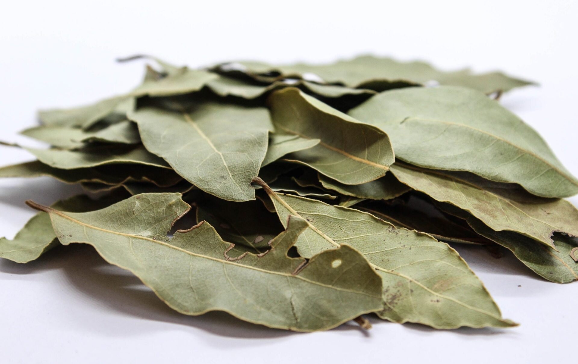 Organic BAY LEAVES Laurus Nobilis Bay Leaves Whole Bay Leaf Bay Leaves ...