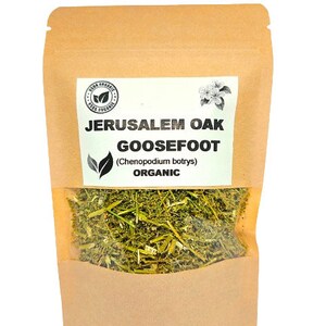 Organic JERUSALEM OAK GOOSEFOOT | Chenopodium Botrys | Dysphania Botrys ...
