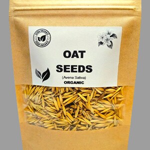 Organic OAT SEEDS | Avena Sativa | Oat Seeds Tea | Herbal Tea ...