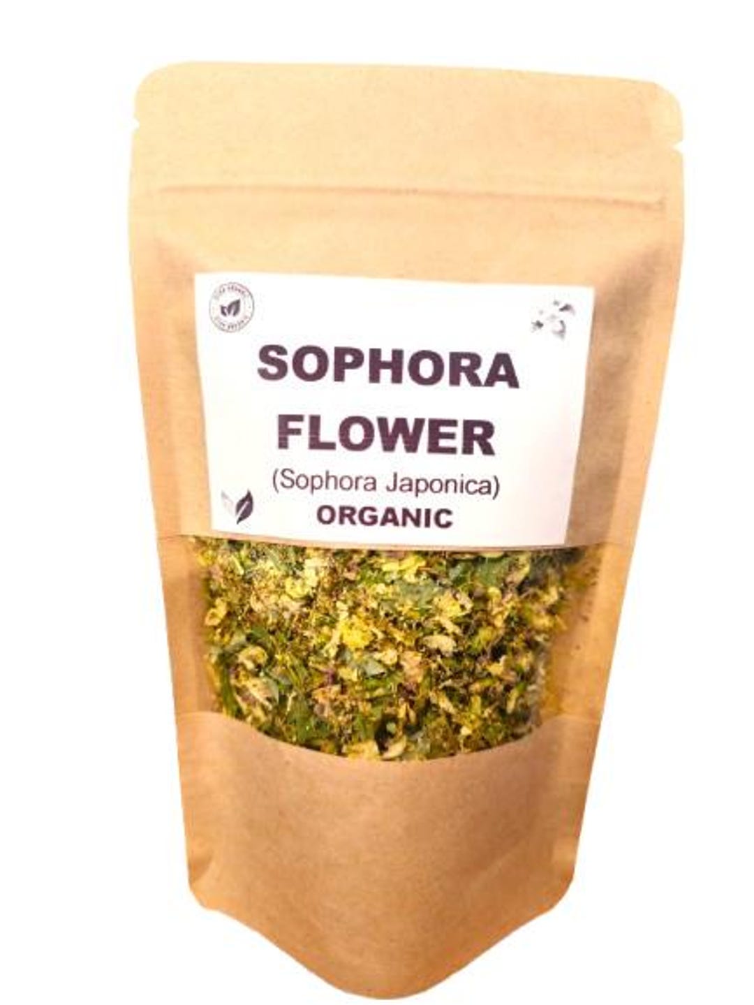 SOPHORA FLOWER | Japanese Pagoda | Sophora Japonica | Pagoda Tree Buds ...