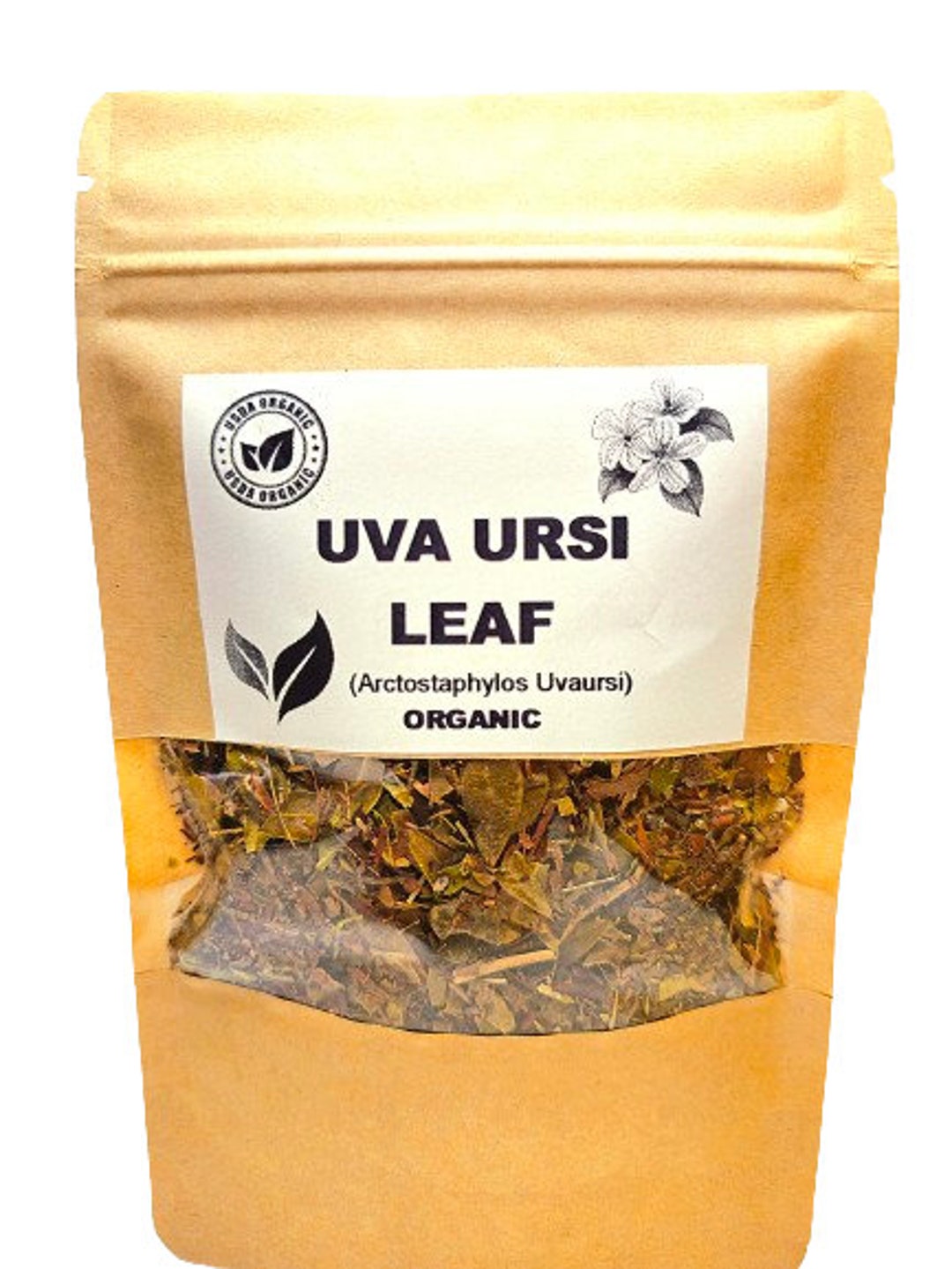 Organic UVA URSI LEAF | Arctostaphylos Uvaursi | Uva Ursi Tea | Dried ...