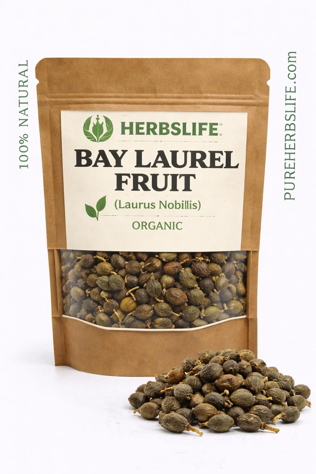 Organic BAY LAUREL FRUIT | Laurus Nobilis | Dried Culinary, Botanical ...
