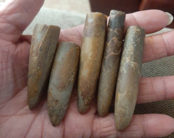 Ancient Bullet - Etsy