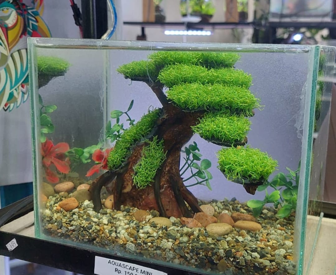 Bonsai Tree Aquarium, Bonsai Driftwood, Fish Tank Decoration, Aquarium ...