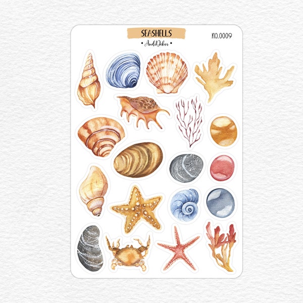 Seashell Sticker - Etsy