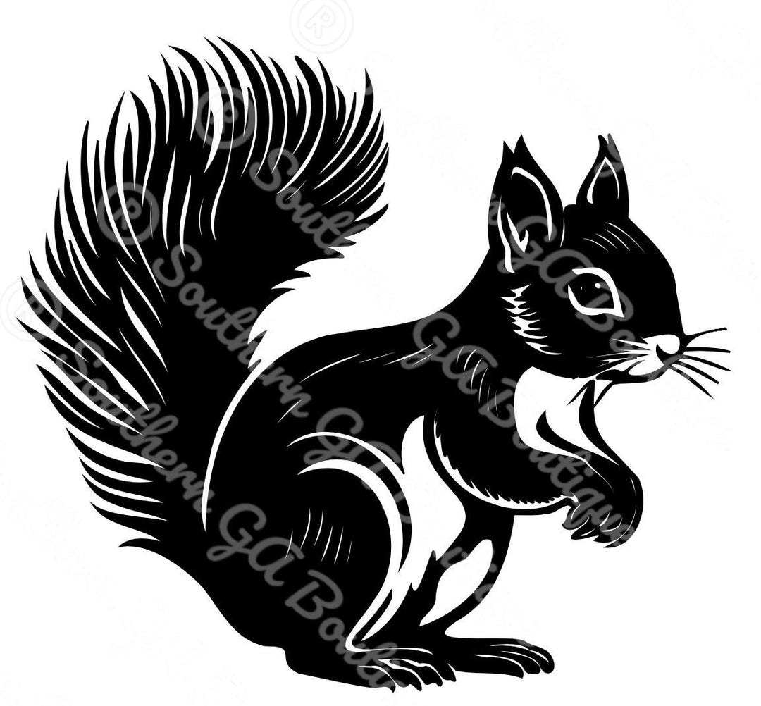 Squirrel Decal for Car Home Tumblr Laptop Ect. I Would Recommend 3 ...