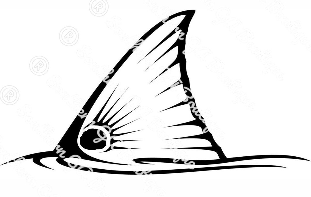 Redtail Fish Fin Decal for Car Home Tumblr Laptop Ect. I Would ...