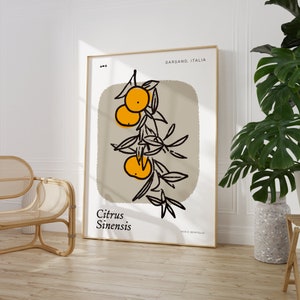 Italian Orange Tree Poster | Physical Print | Aesthetic | Boho | Wall ...