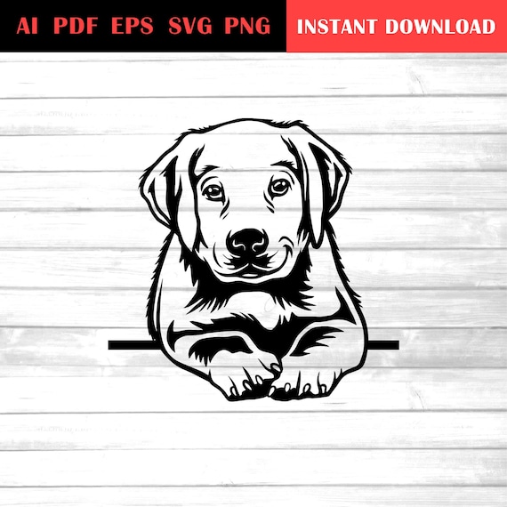 Labrador Retriever Puppy Svg / Cute Dog Pets American Famous | Etsy