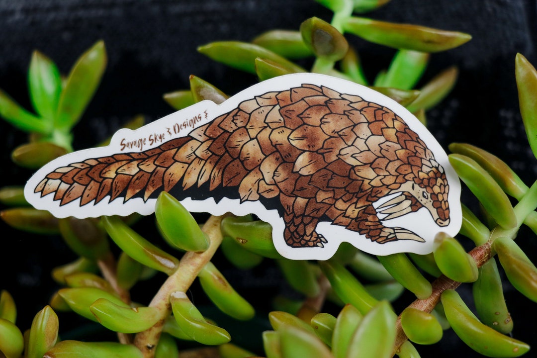 Pangolin Sticker | 4.72" X 2.00" - Etsy