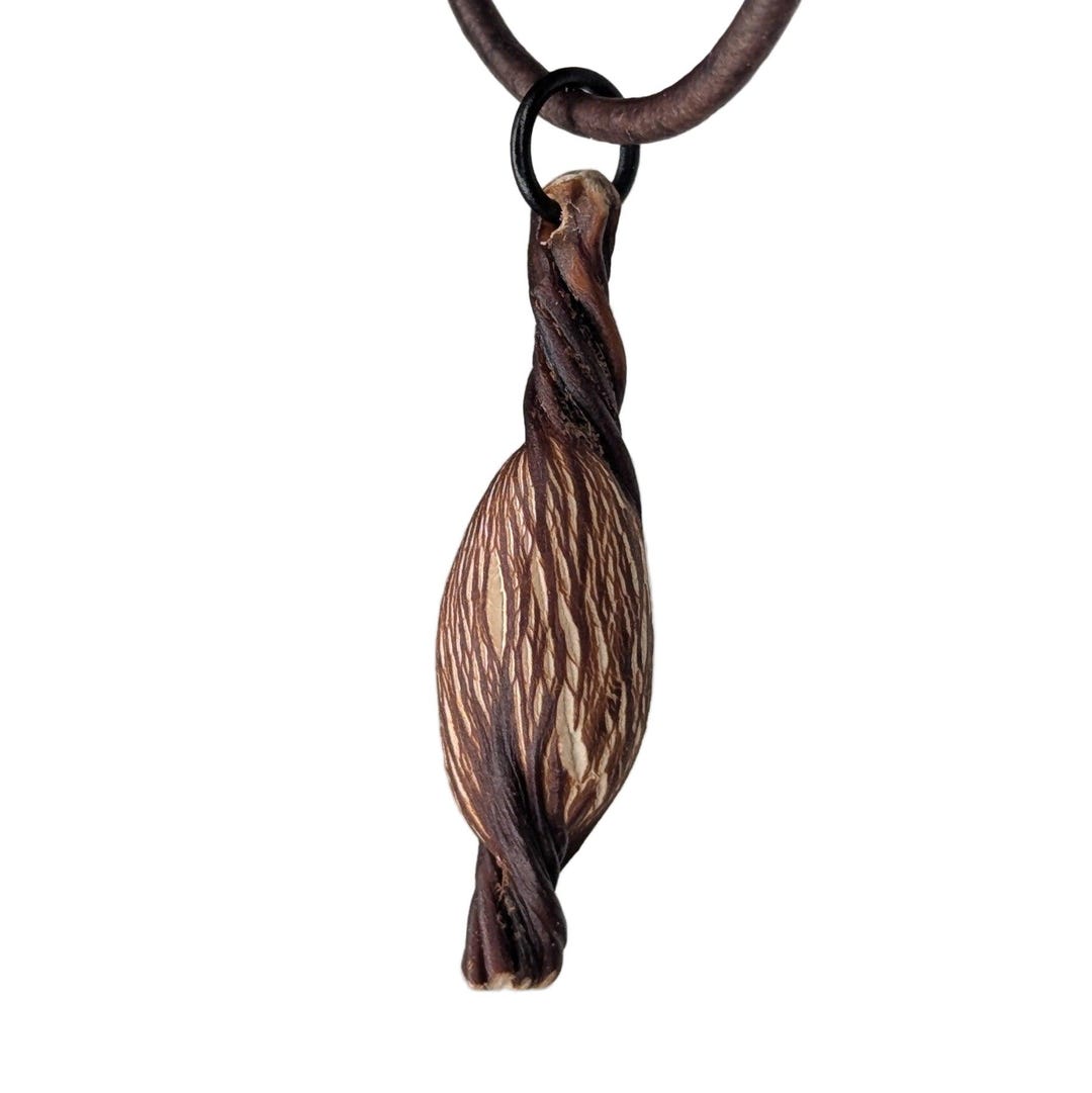 Ocean Algae Pendant "turbinophycis" One-of-a-kind Seaweed Jewelry ...