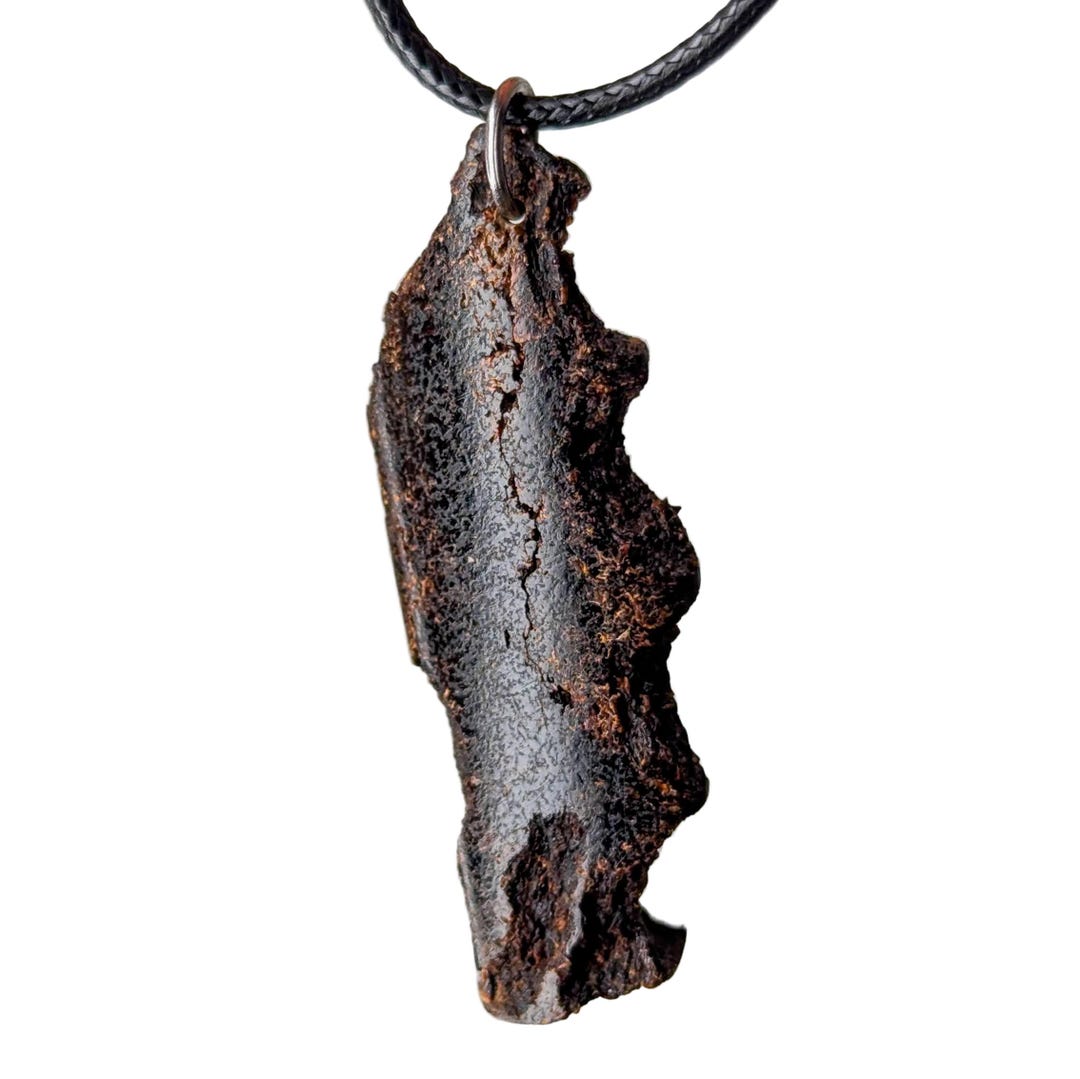 Ocean Algae Pendant "peliacys" One-of-a-kind Seaweed Jewelry ...