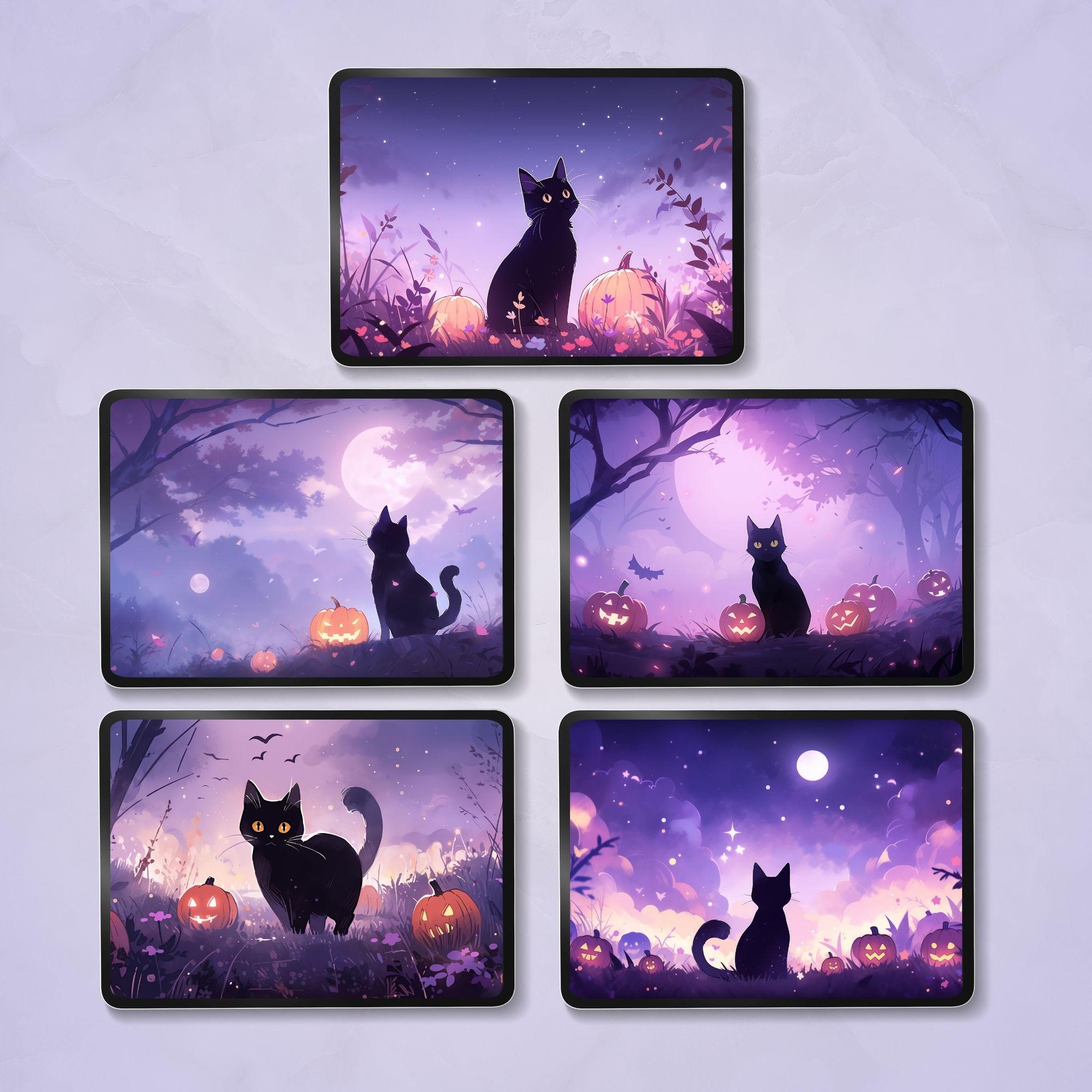 Black Cat Desktop Wallpaper, Cute Kitten & Pumpkin Halloween Organizer ...