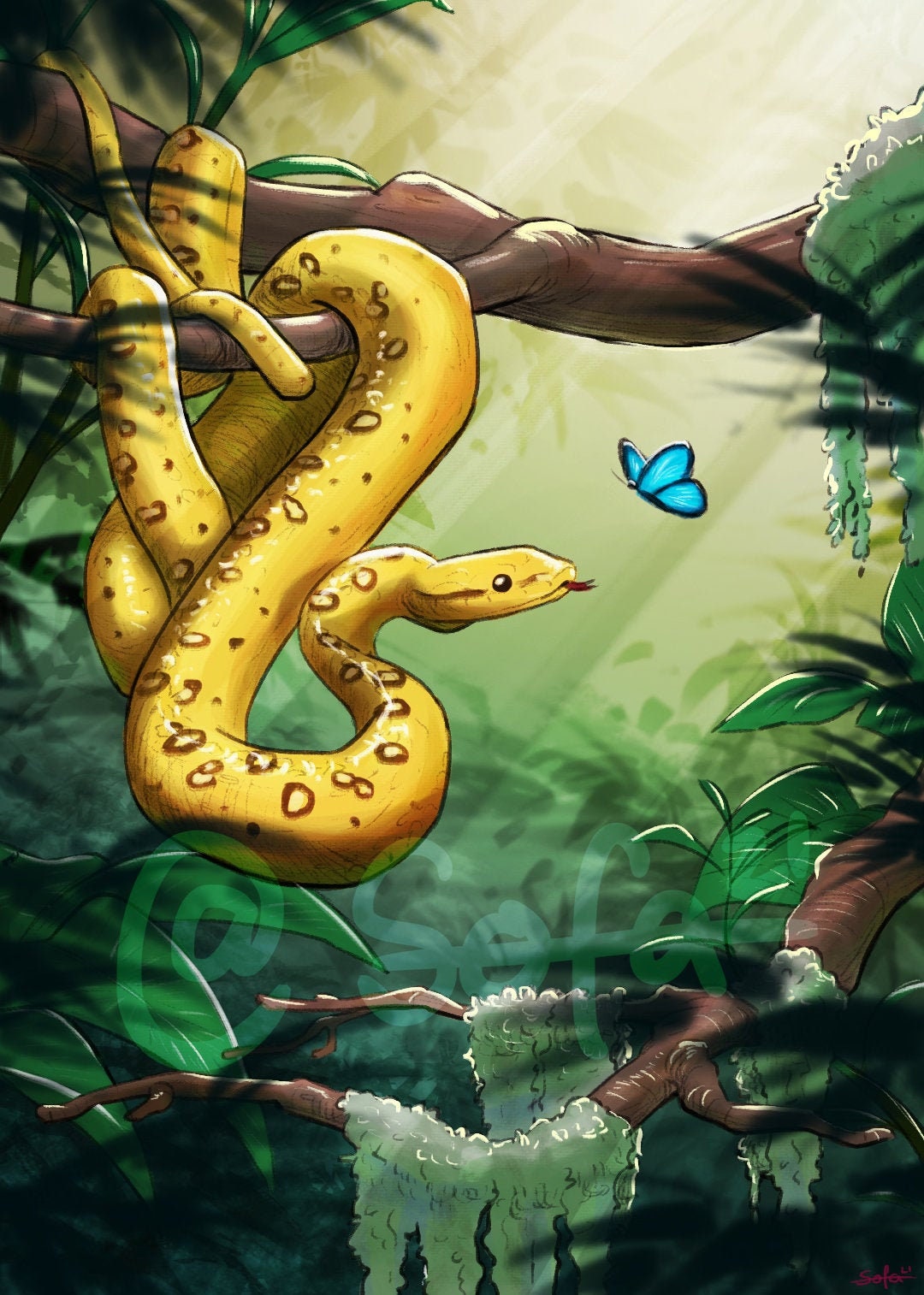 Snake and Butterfly (Medium Postcard 5" x 7") - Etsy.de