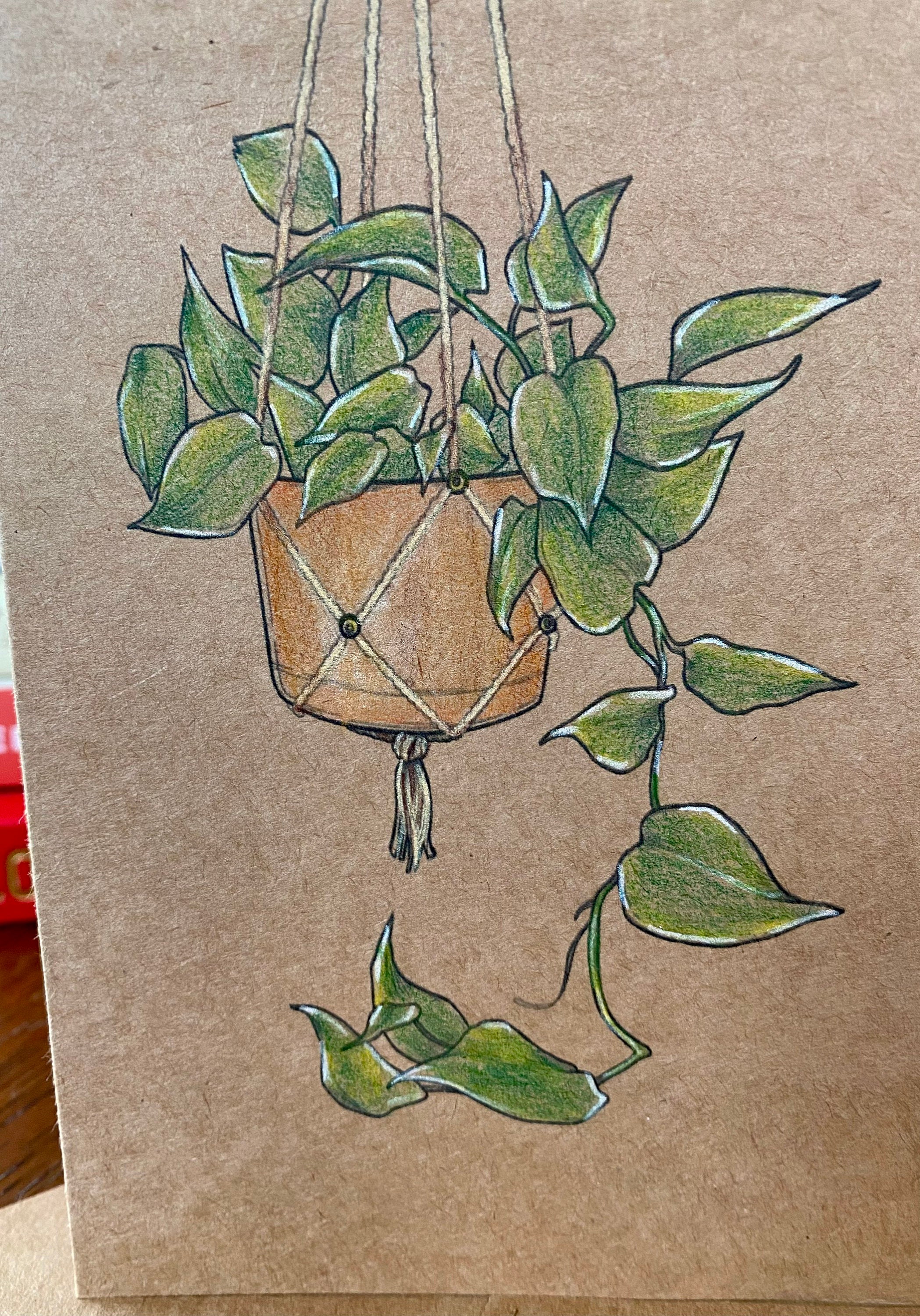 Hanging Plant Greeting Card - Etsy