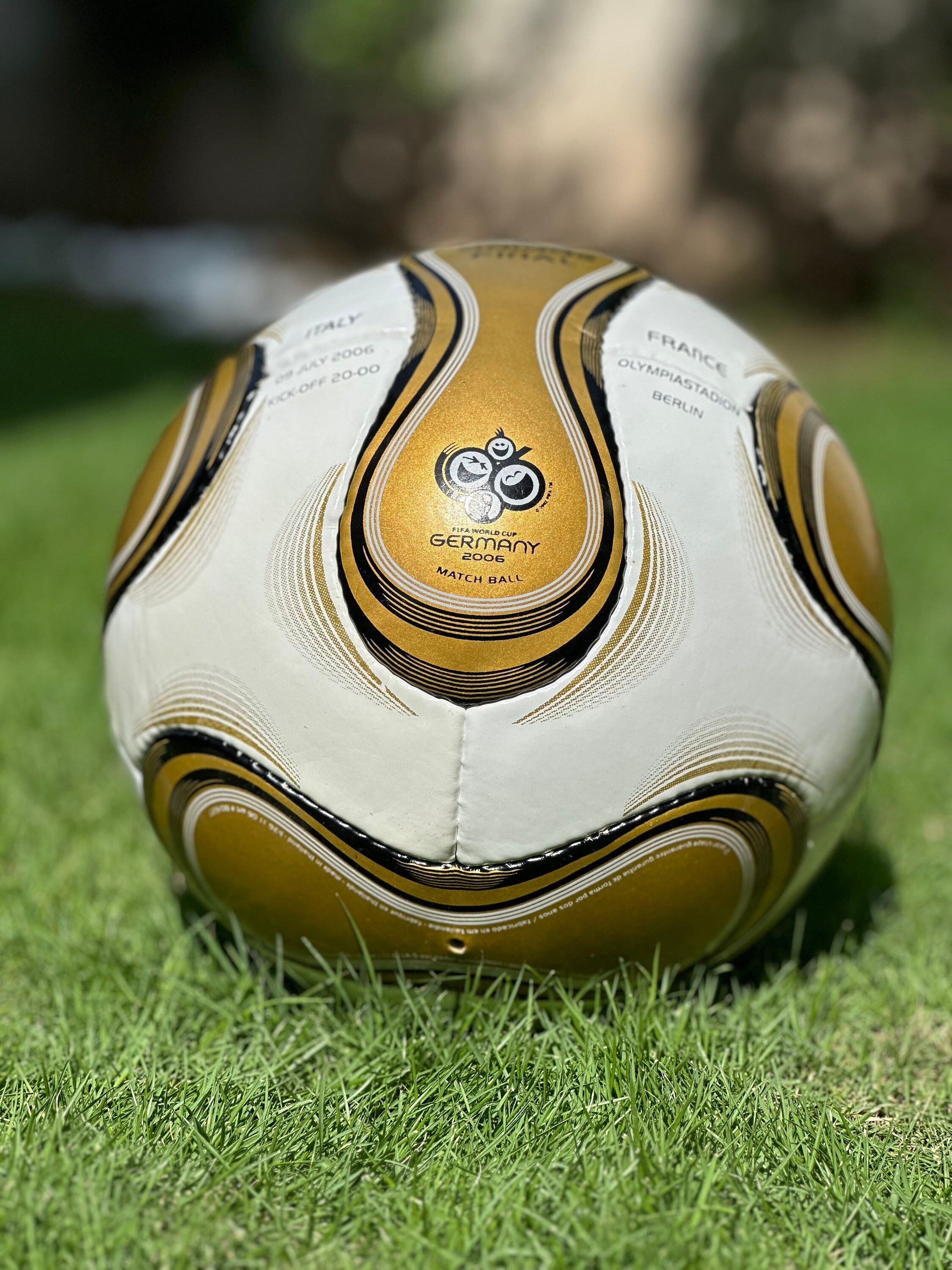 2006 Fifa World Cup Ball