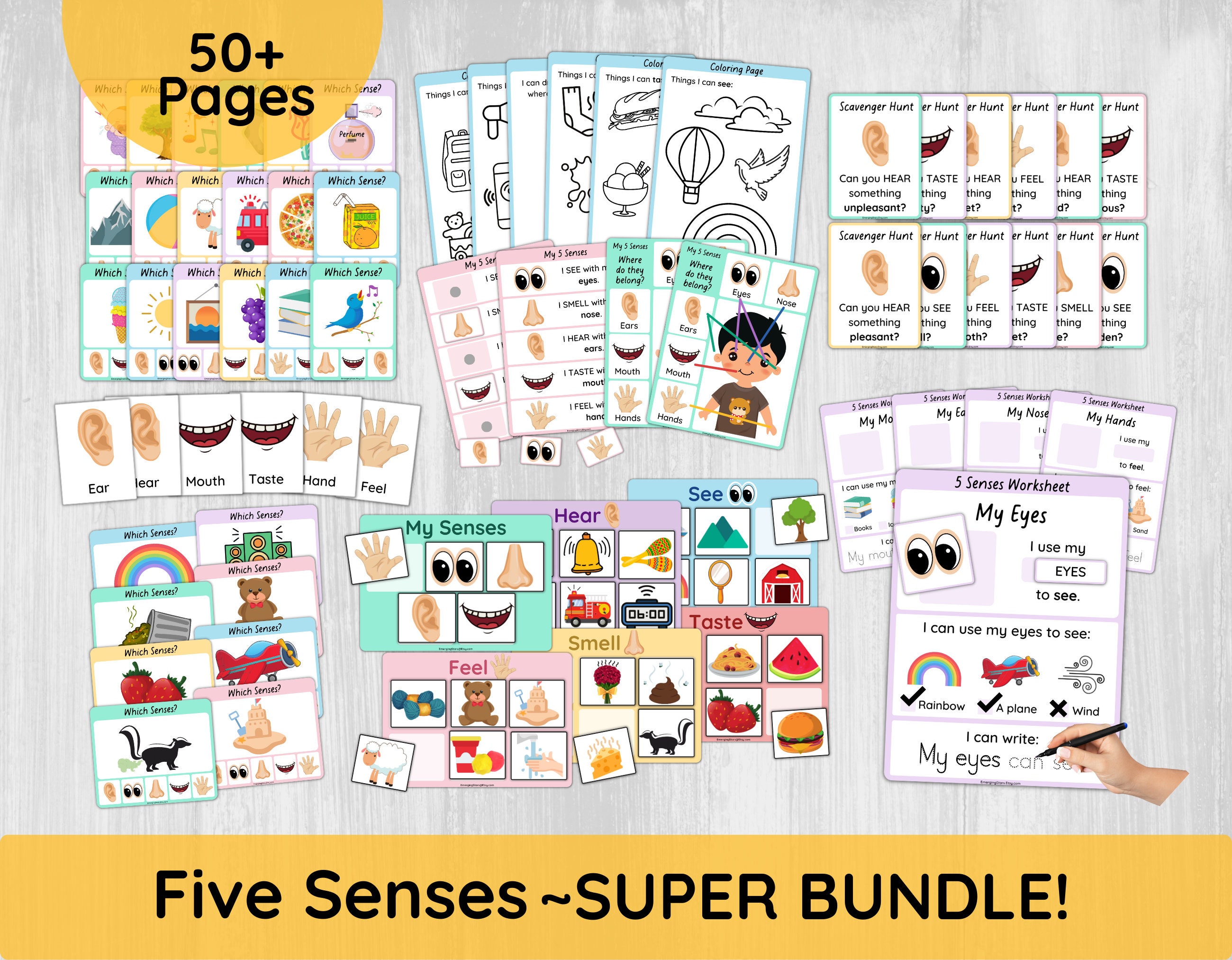 Preschool 5 Senses Activities/ Toddler Five Senses Sorting Activity ...