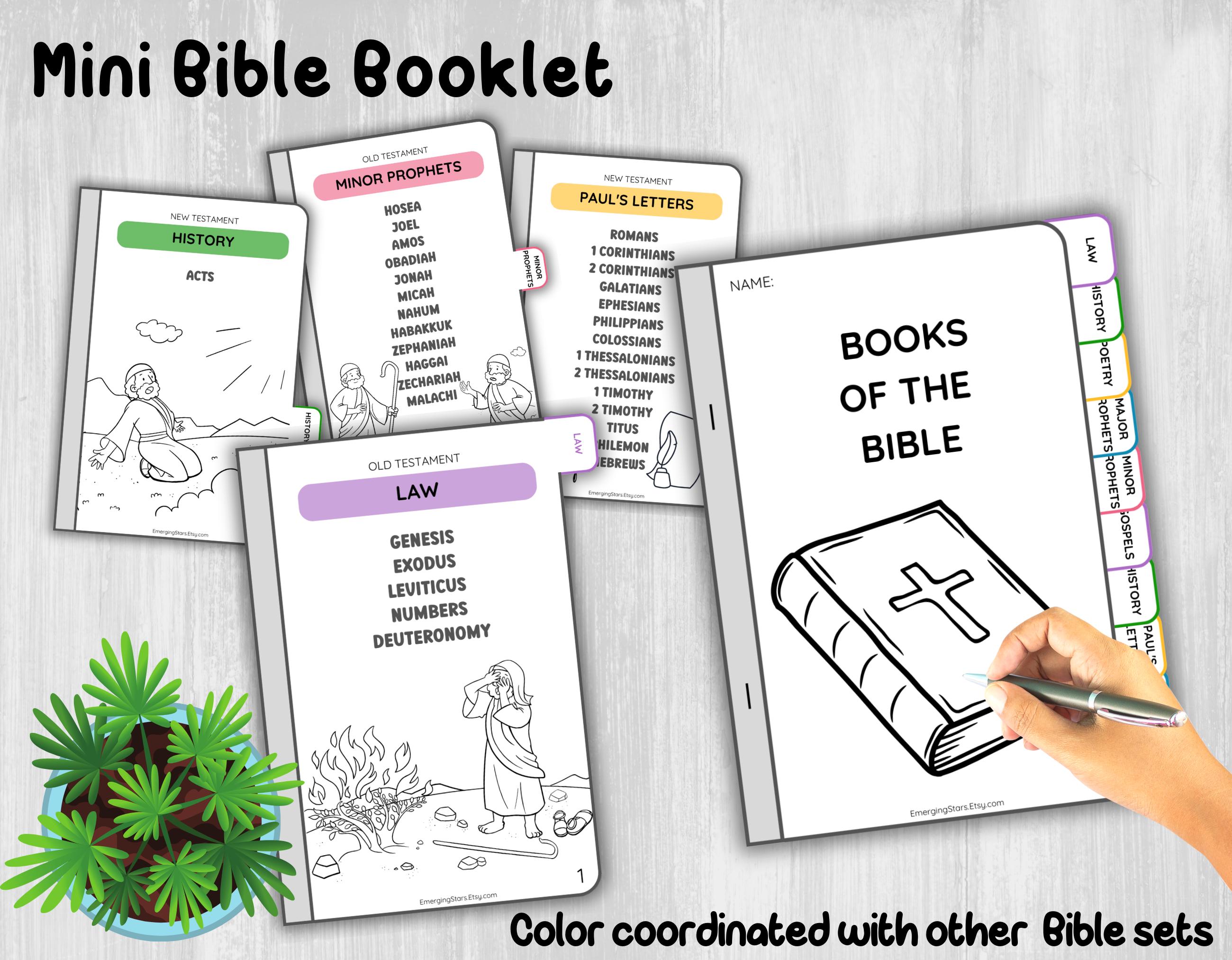 Ultimate Books of the Bible, Color in Bookmarks, Kids Bible Sorting ...
