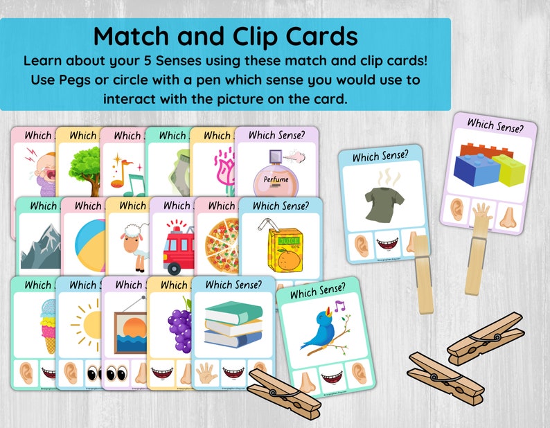 Preschool 5 Senses Match and Clip Cards/ Toddler Five Senses Activity ...