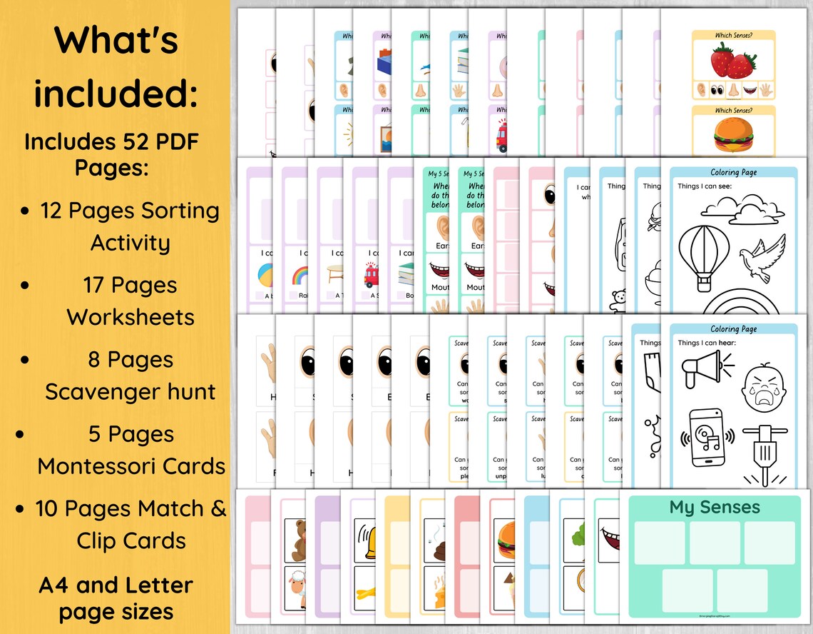 Preschool 5 Senses Activities/ Toddler Five Senses Sorting Activity ...