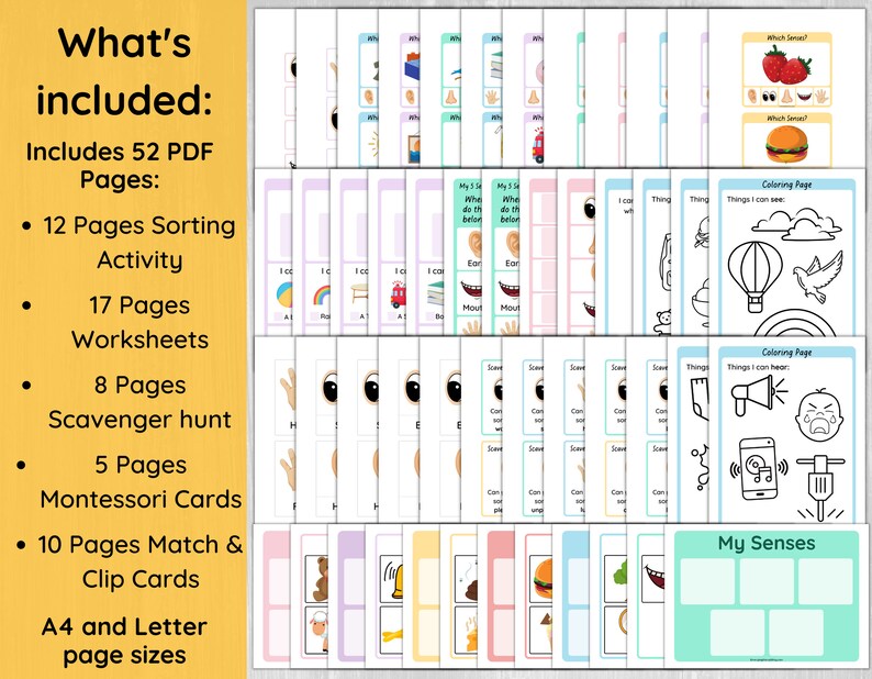 Preschool 5 Senses Activities/ Toddler Five Senses Sorting Activity ...