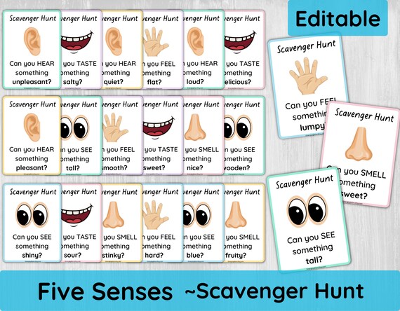 Toddler 5 Senses Scavenger Hunt Cards/ Preschool Five Senses - Etsy Canada