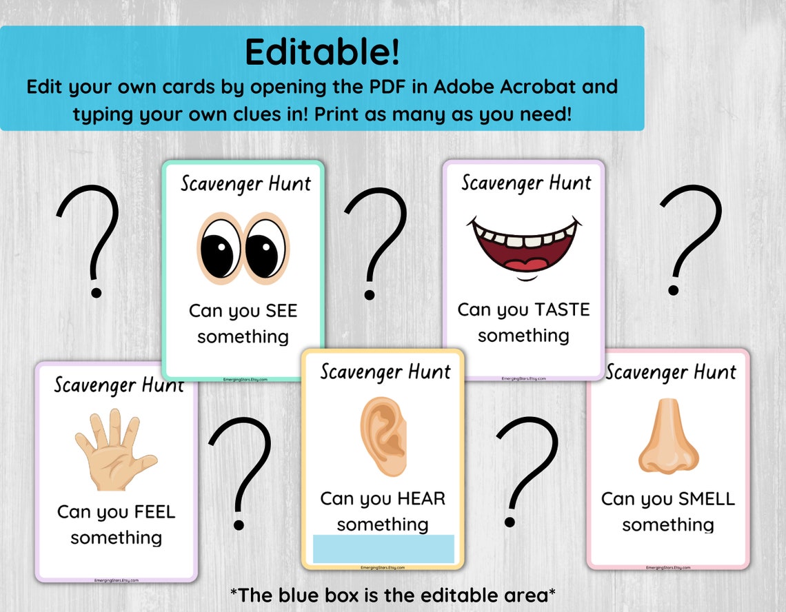 Toddler 5 Senses Scavenger Hunt Cards/ Preschool Five Senses Activity ...