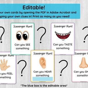 Toddler 5 Senses Scavenger Hunt Cards/ Preschool Five Senses Activity ...