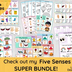 Toddler 5 Senses Scavenger Hunt Cards/ Preschool Five Senses Activity ...