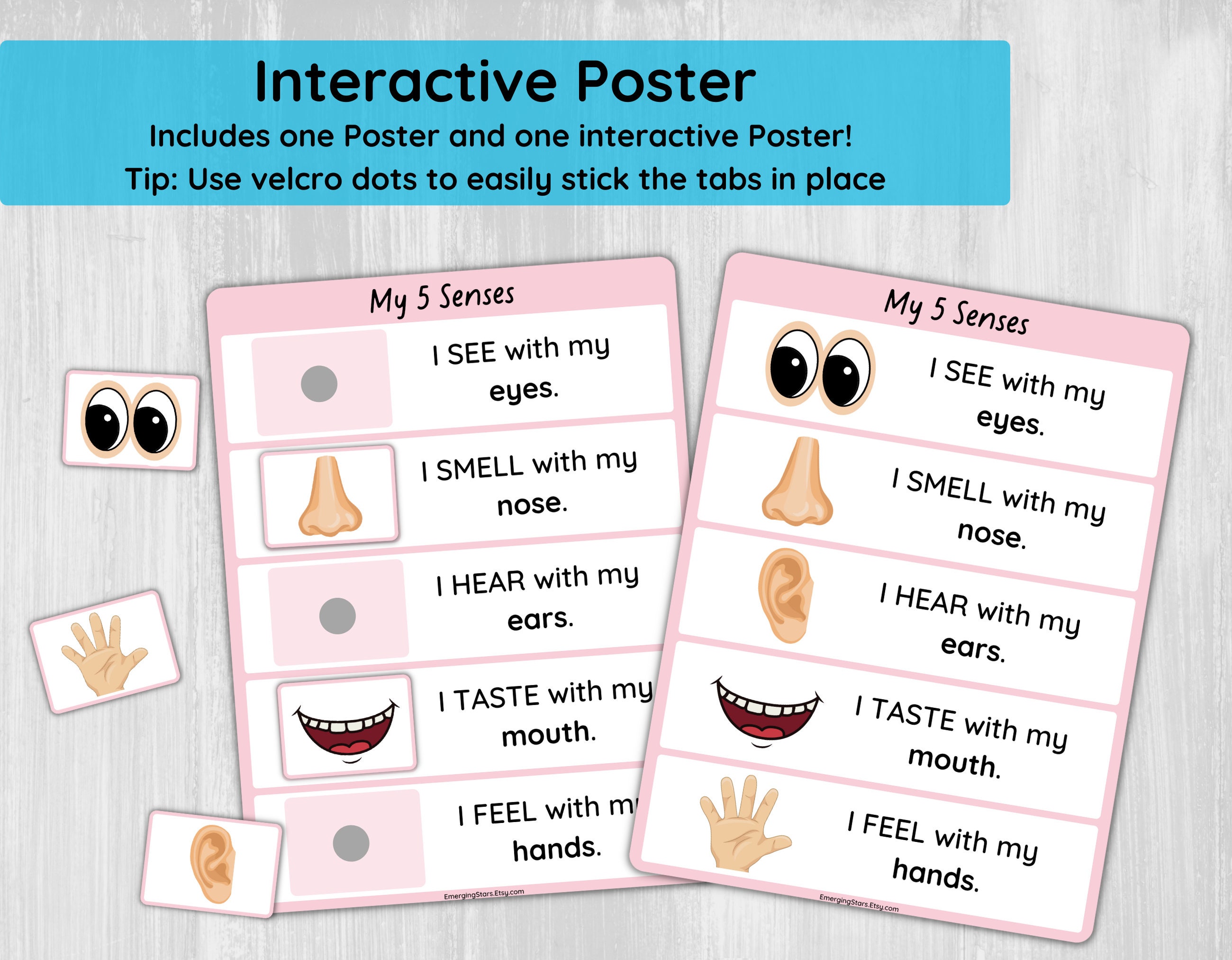 5 Senses Graphic Organizer