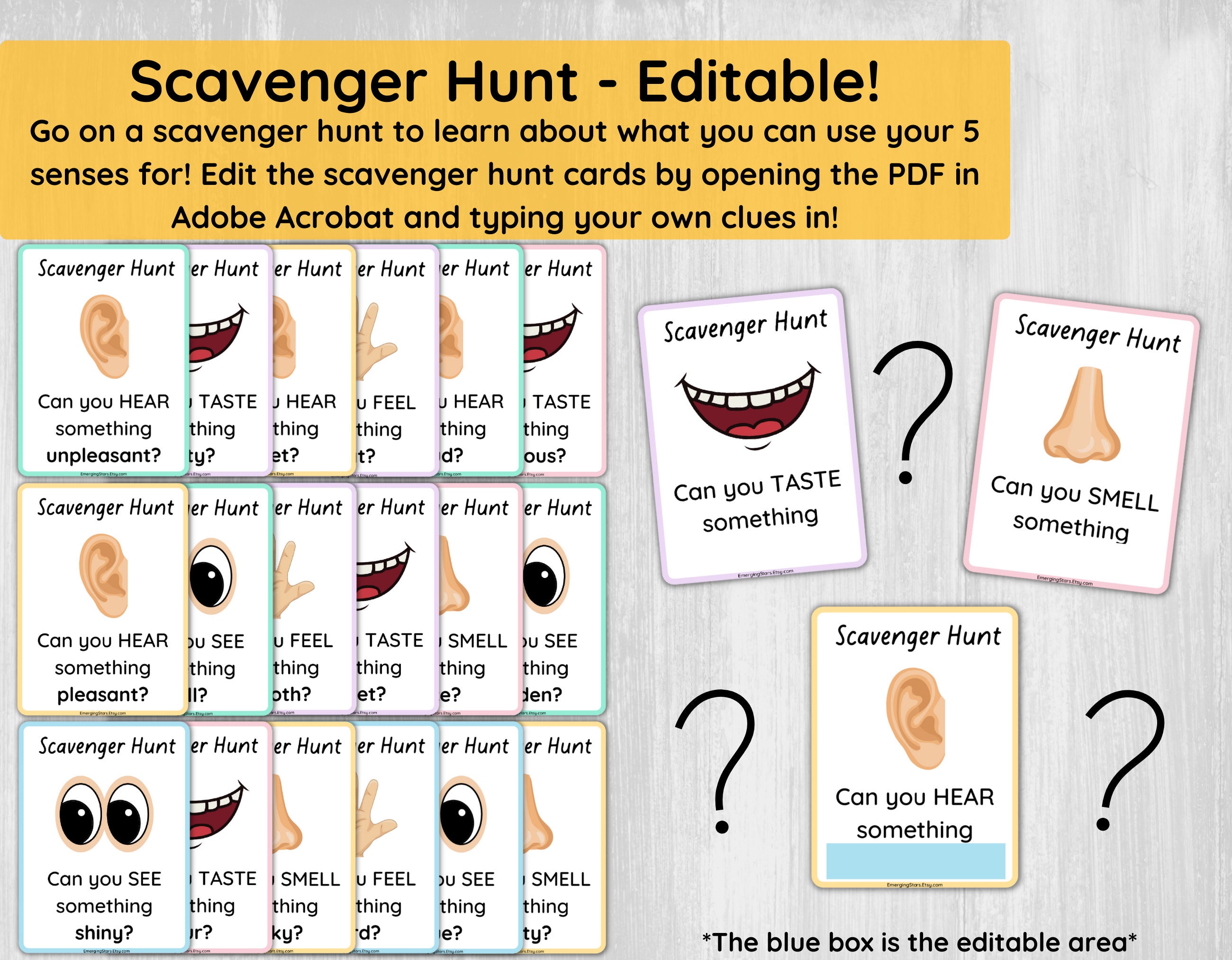 Preschool 5 Senses Activities/ Toddler Five Senses Sorting Activity ...