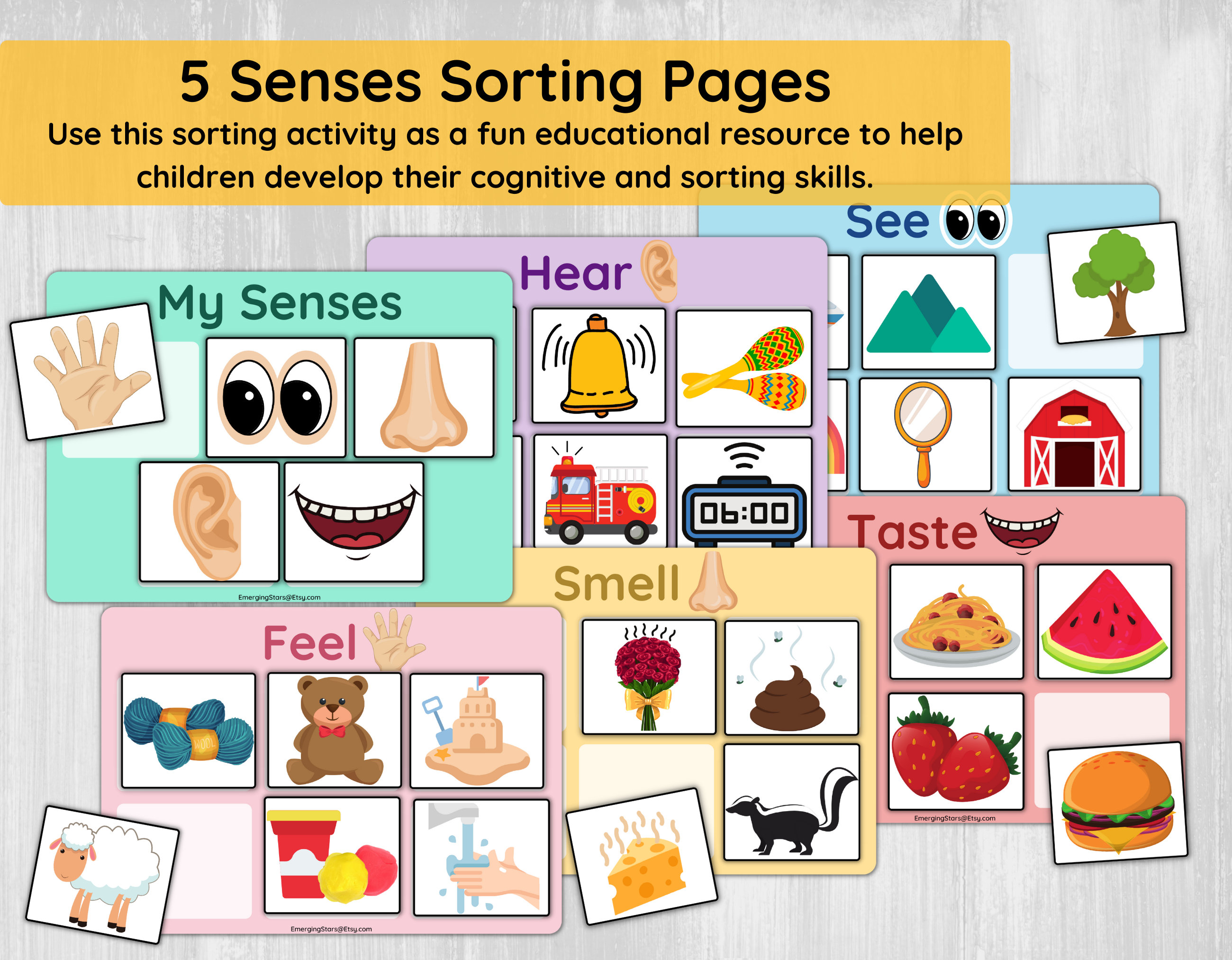 Preschool 5 Senses Activities/ Toddler Five Senses Sorting Activity ...