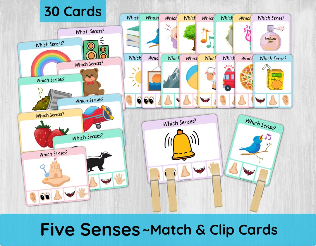 Preschool 5 Senses Match and Clip Cards/ Toddler Five Senses Activity ...