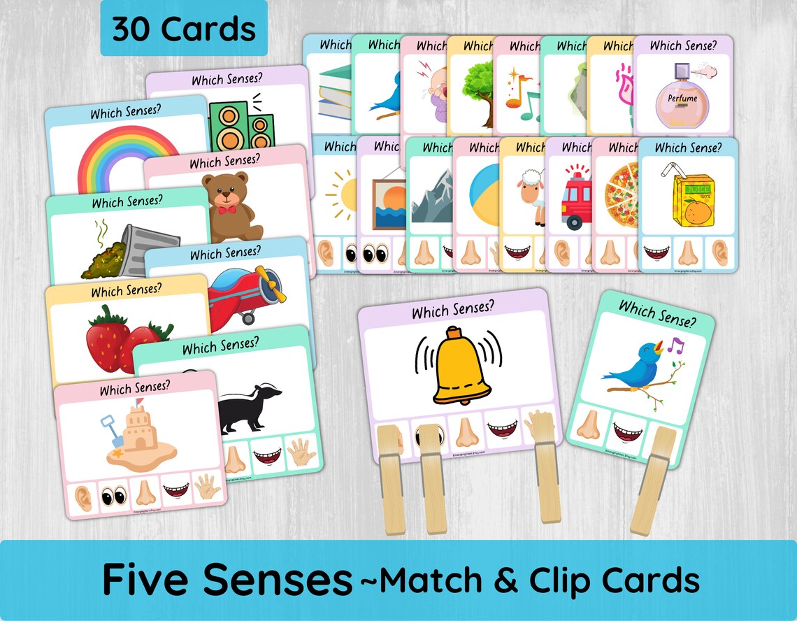 Preschool 5 Senses Match and Clip Cards/ Toddler Five Senses Activity ...