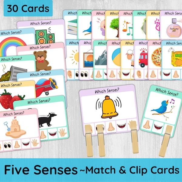 Toddler 5 Senses Scavenger Hunt Cards/ Preschool Five Senses Activity ...