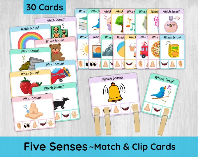 Five Senses Sorting Activity Printable/ Preschool Five Senses for ...