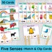 Preschool 5 Senses Match and Clip Cards/ Toddler Five Senses Activity ...