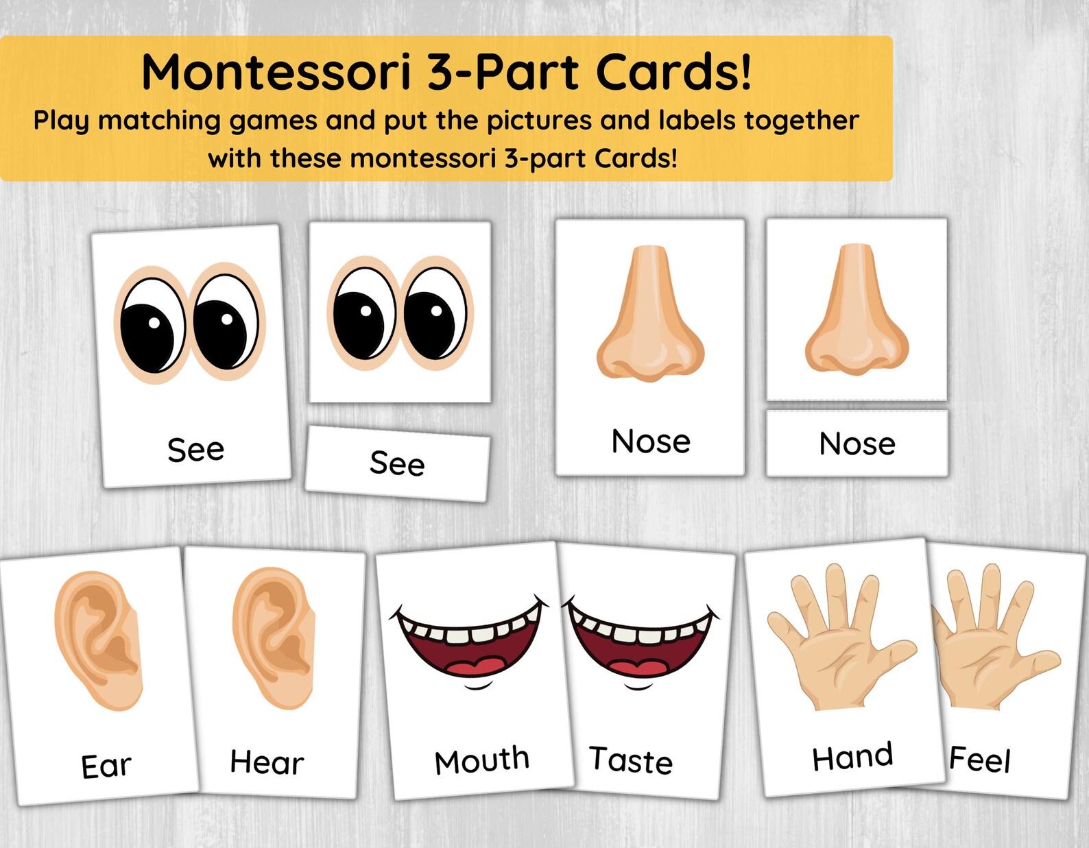 Preschool 5 Senses Activities/ Toddler Five Senses Sorting Activity ...